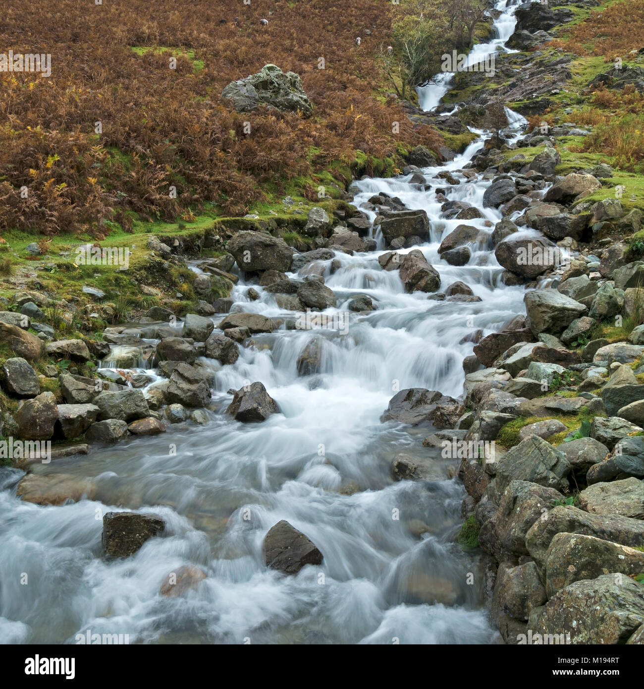 Tumbling mountain stream, Comb Beck, Buttermere, Lake District, Cumbria ...
