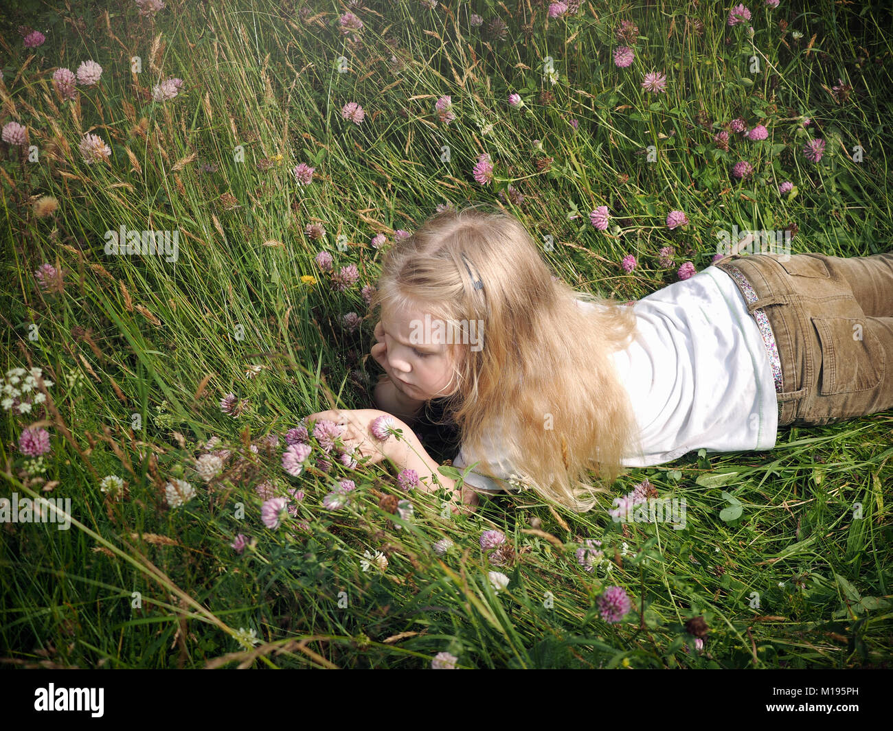 A little girl lies in tall grass. The child considers the clover ...