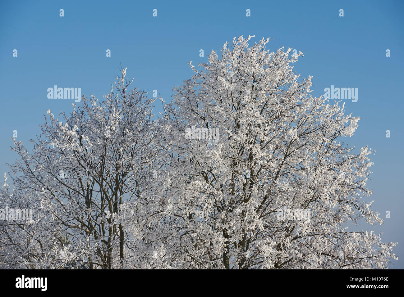 Clear sky background hi-res stock photography and images - Alamy