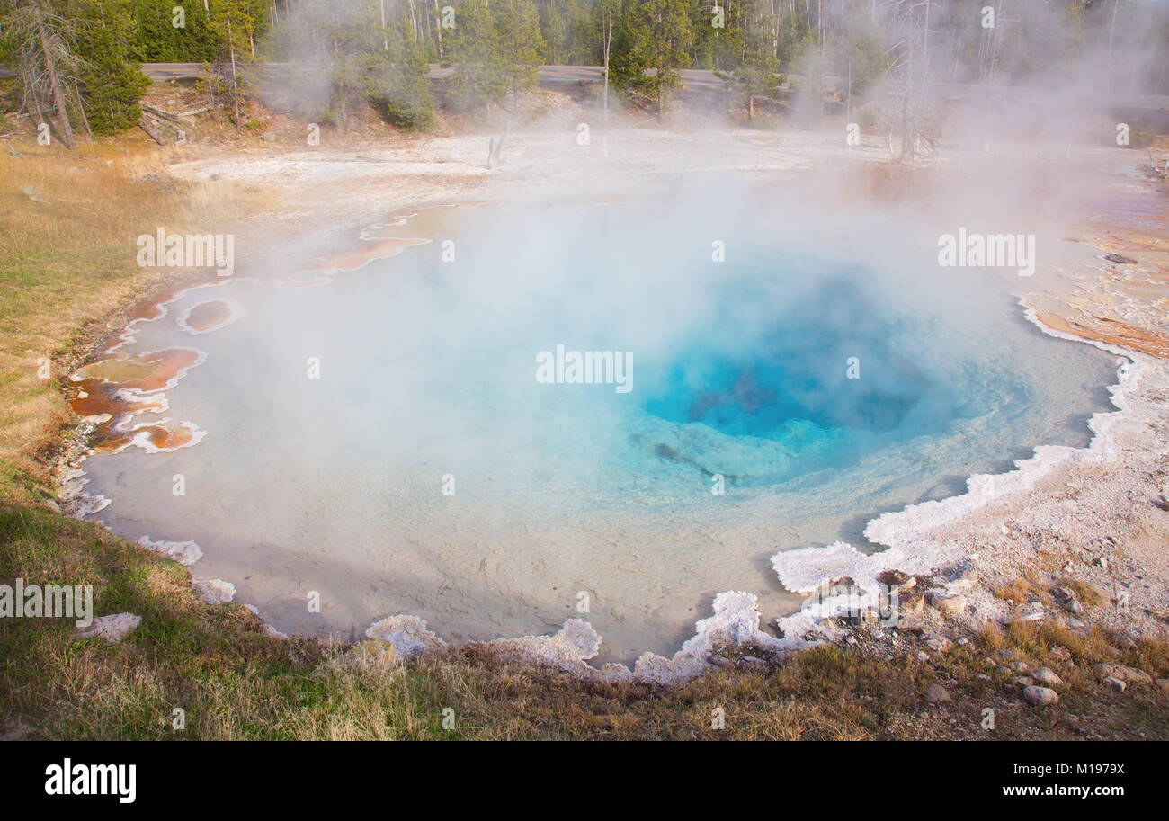 Lower geyser basin in the Yellowstone National park, USA Stock Photo ...