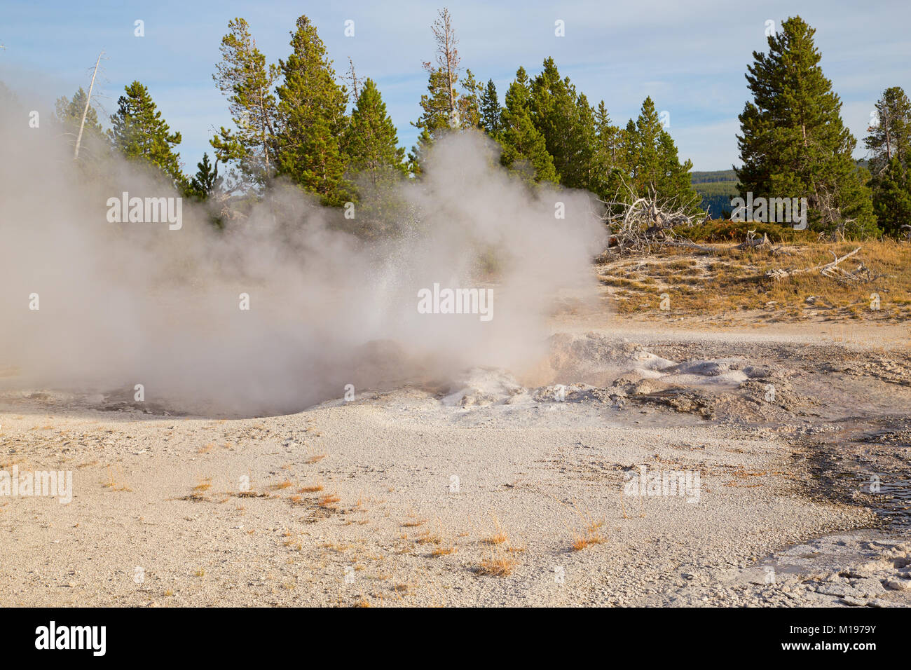 Lower geyser basin in the Yellowstone National park, USA Stock Photo ...