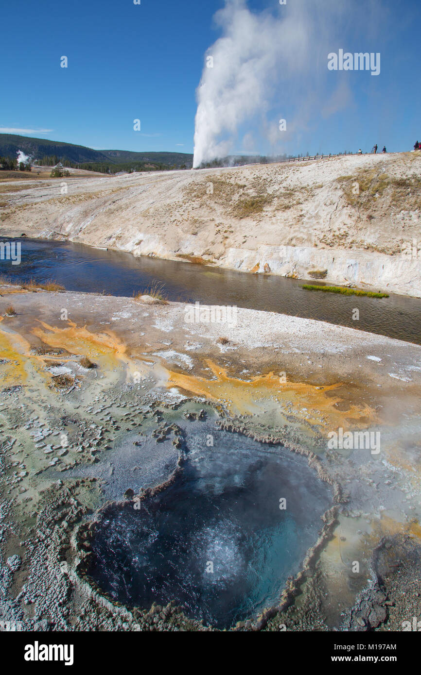 Colorful hot water pool in the Yellowstone National park, USA Stock ...