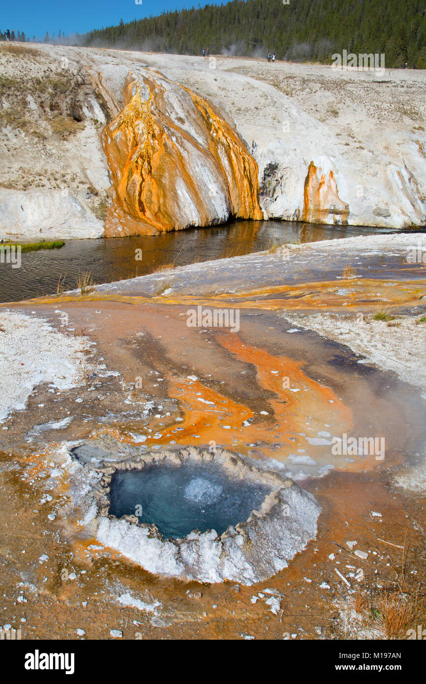 Colorful hot water pool in the Yellowstone National park, USA Stock ...