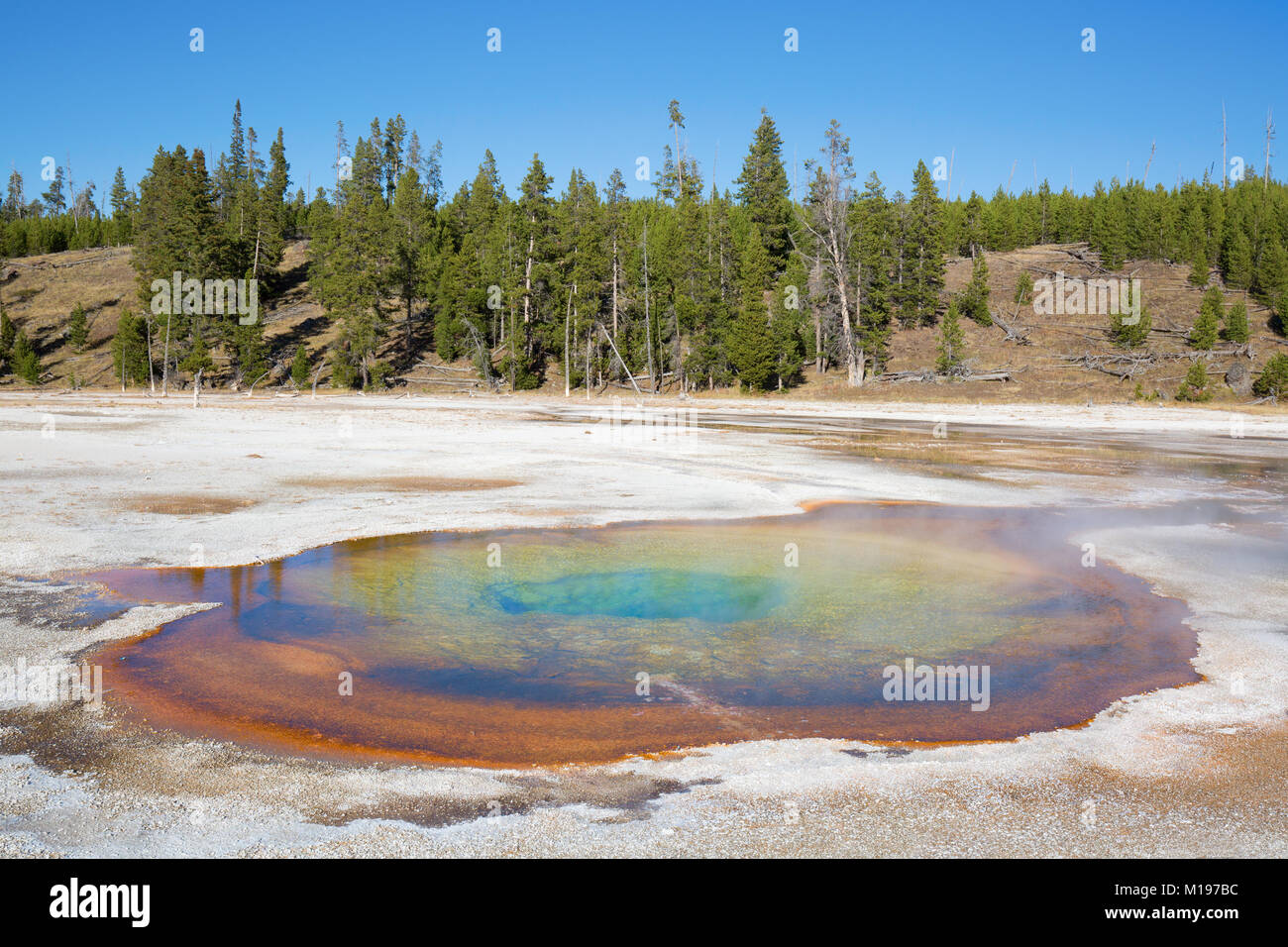 Colorful hot water pool in the Yellowstone National park, USA Stock ...