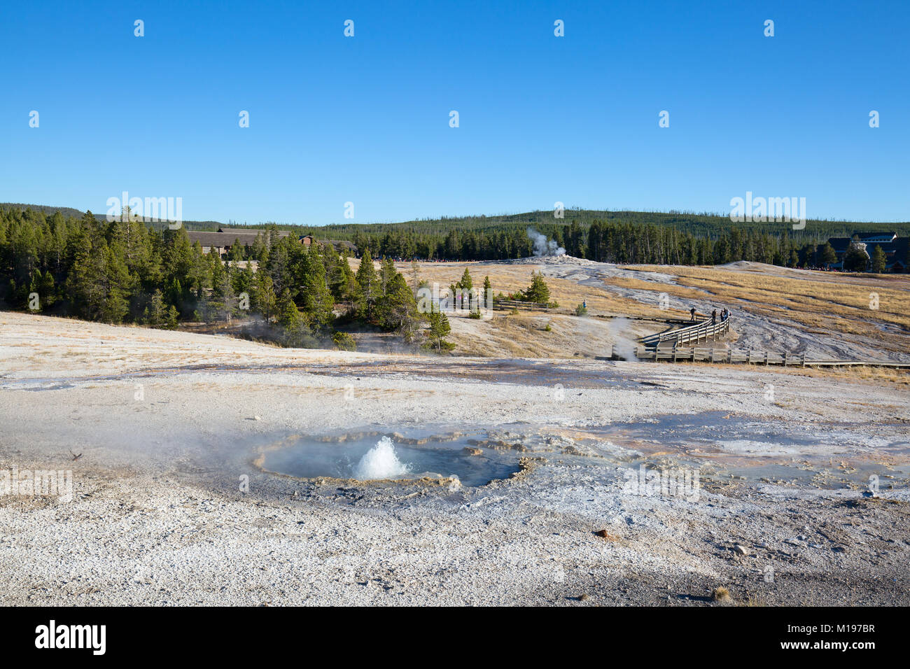 Colorful hot water pool in the Yellowstone National park, USA Stock ...