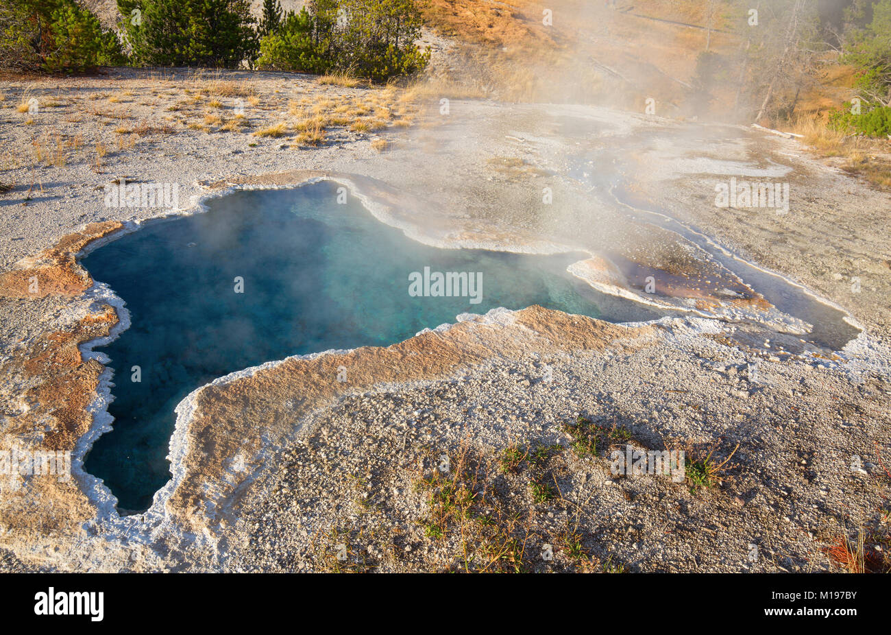 Colorful hot water pool in the Yellowstone National park, USA Stock ...