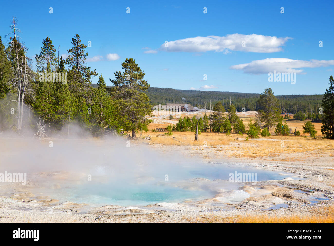 Colorful hot water pool in the Yellowstone National park, USA Stock ...