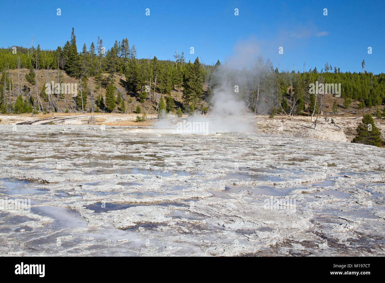Colorful hot water pool in the Yellowstone National park, USA Stock ...