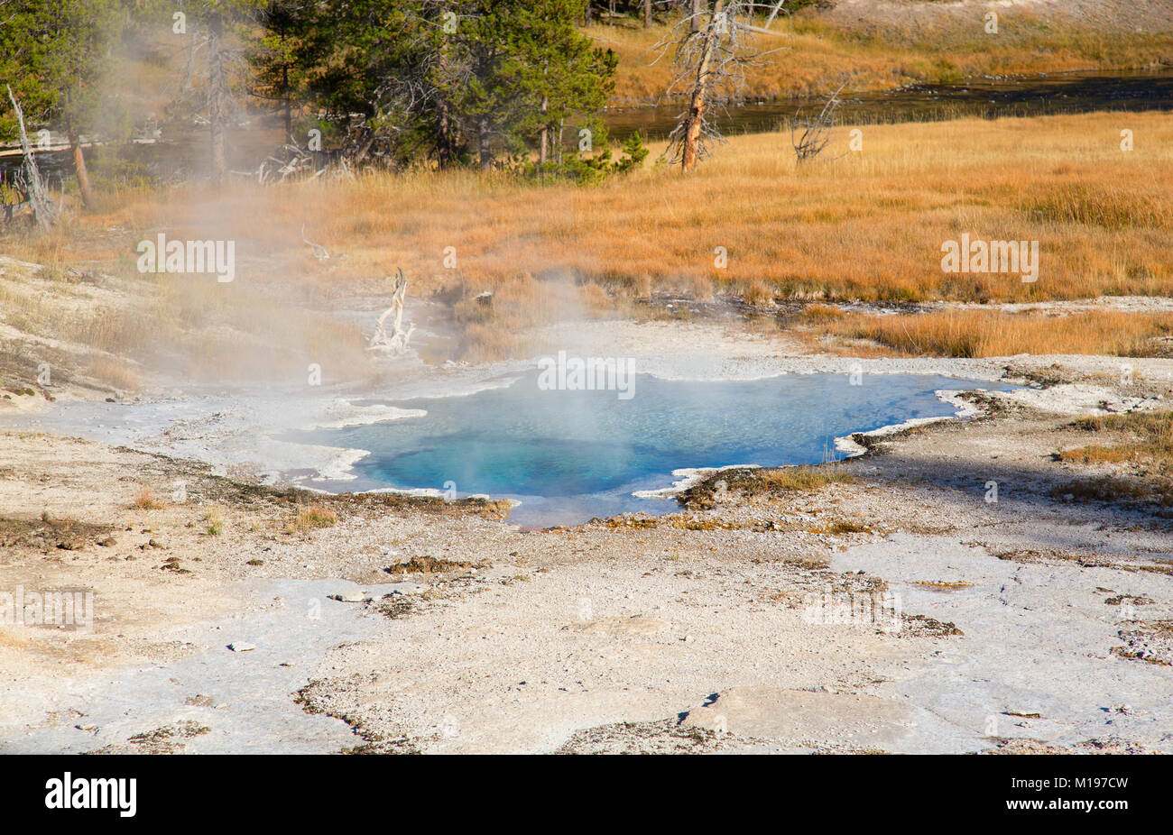 Colorful hot water pool in the Yellowstone National park, USA Stock ...