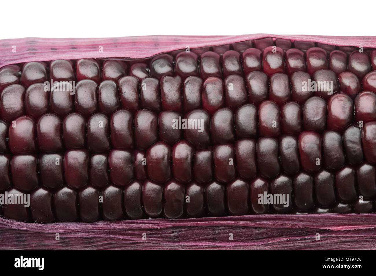purple corn isolated on white background Stock Photo - Alamy