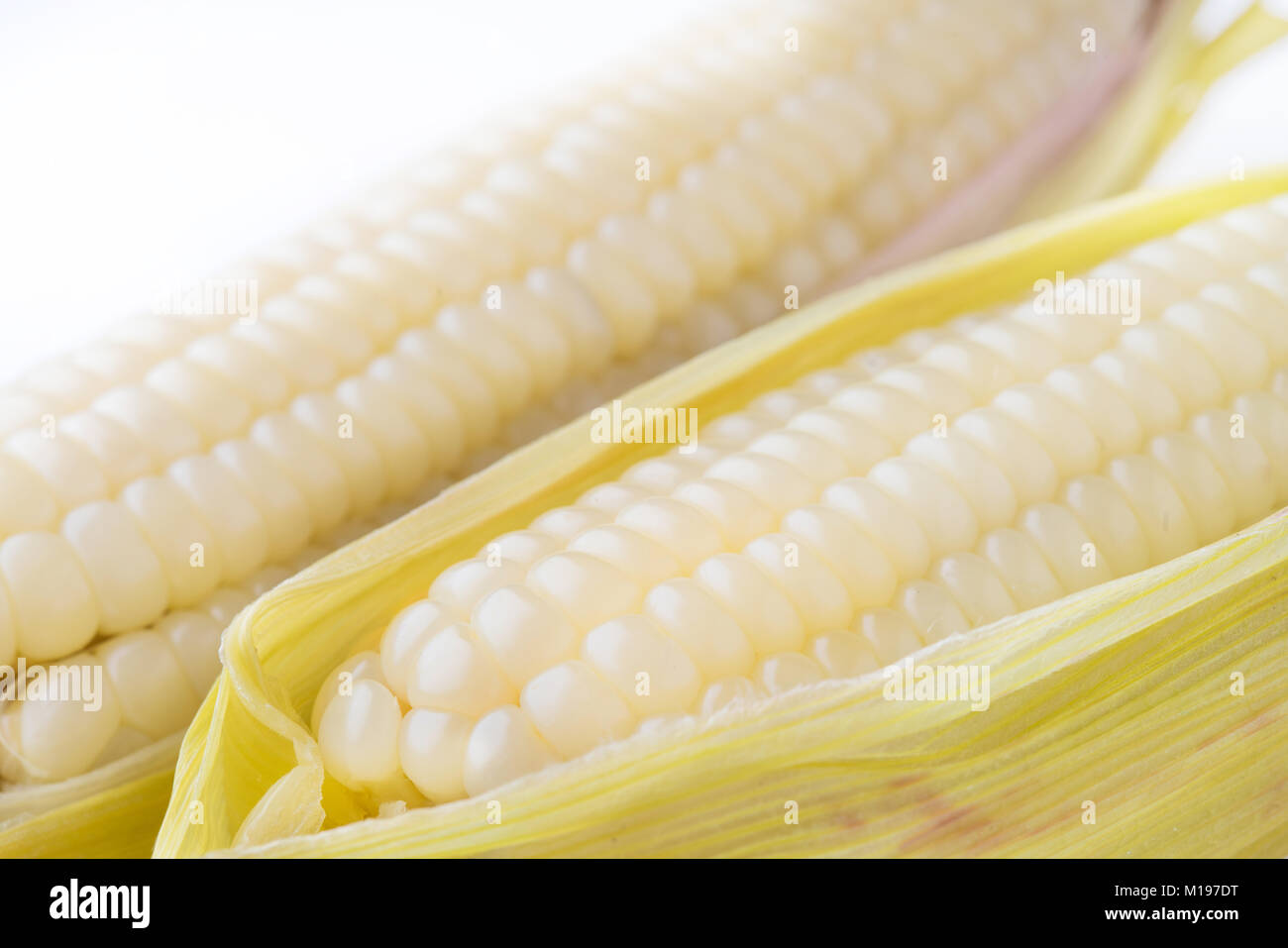 white corn isolated on white background, macro shot Stock Photo - Alamy
