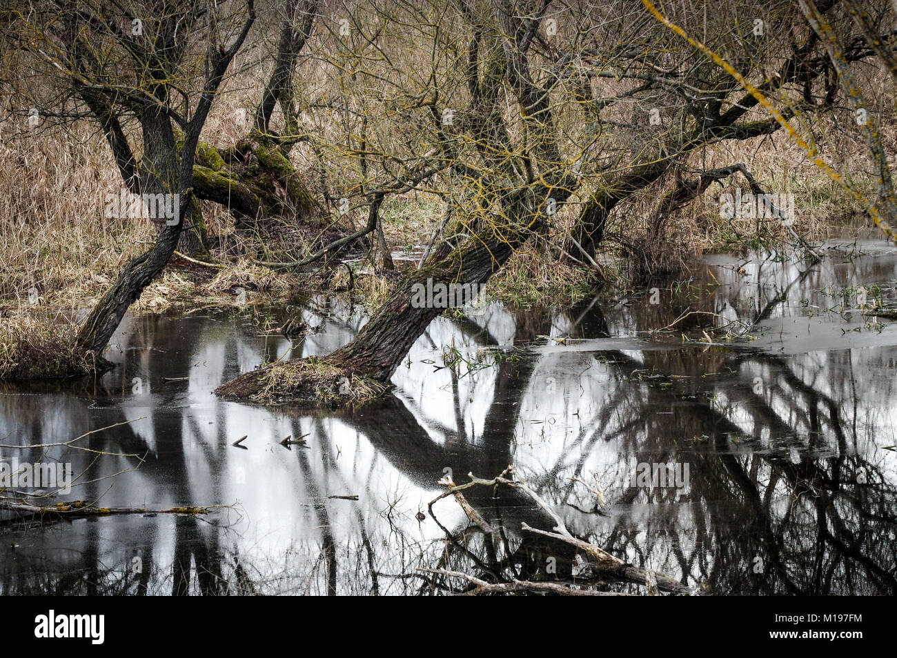 Alluvium hi-res stock photography and images - Alamy