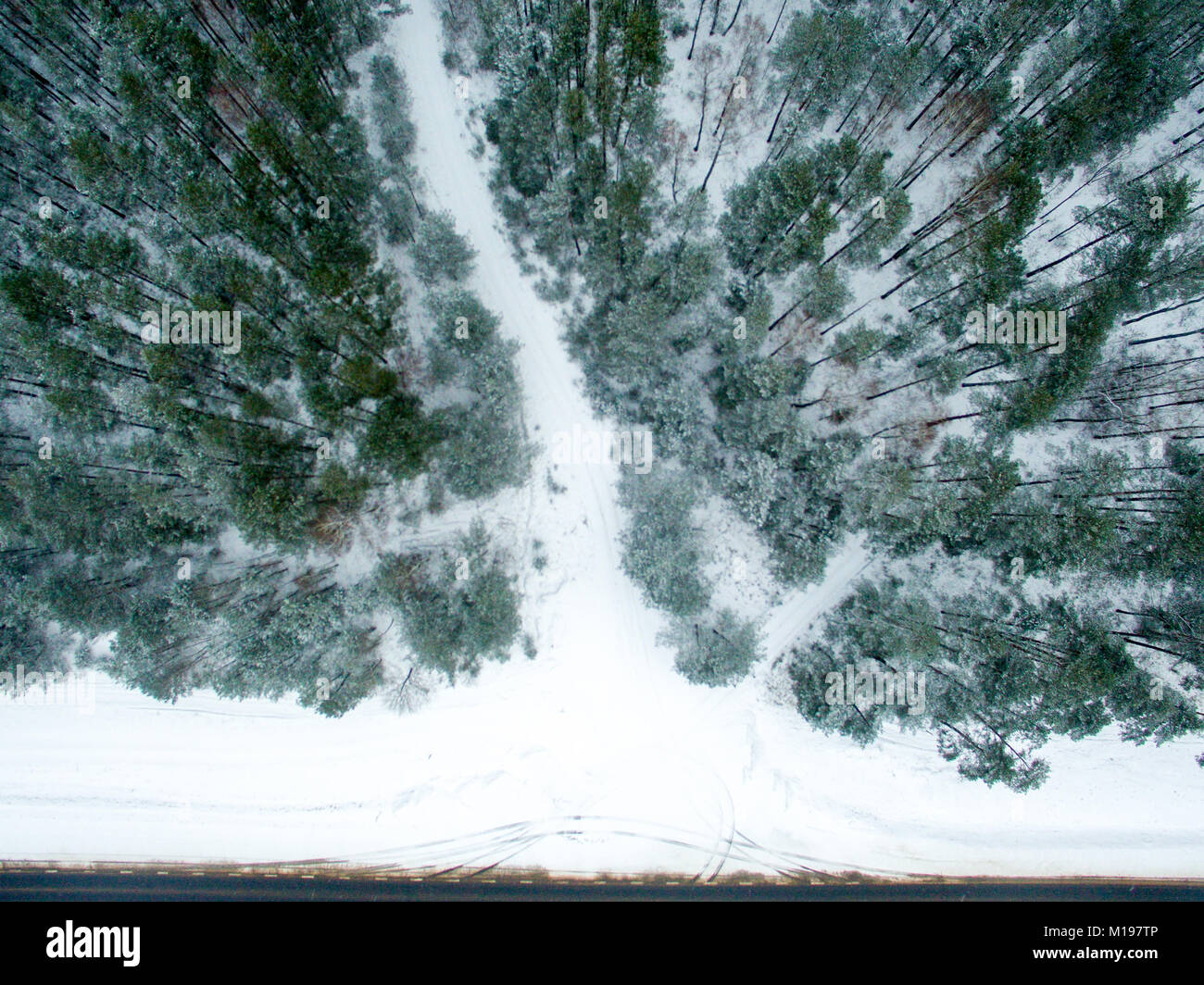 Winter forest and road. View from above. The photo was taken with a ...