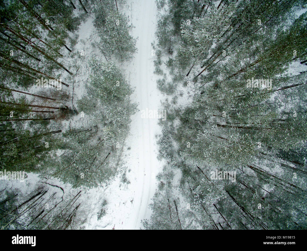 Winter forest and road. View from above. The photo was taken with a ...