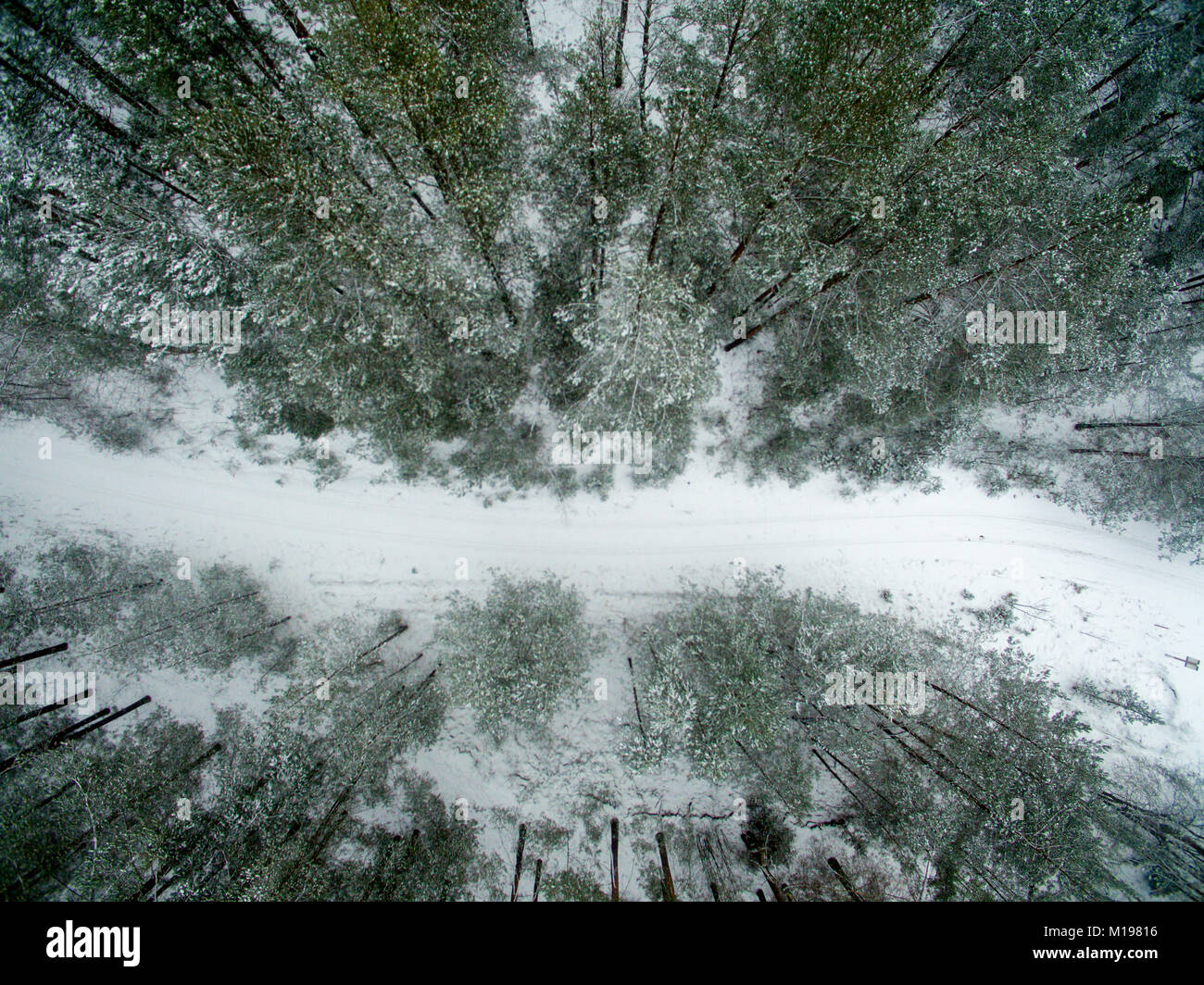 Winter forest and road. View from above. The photo was taken with a ...