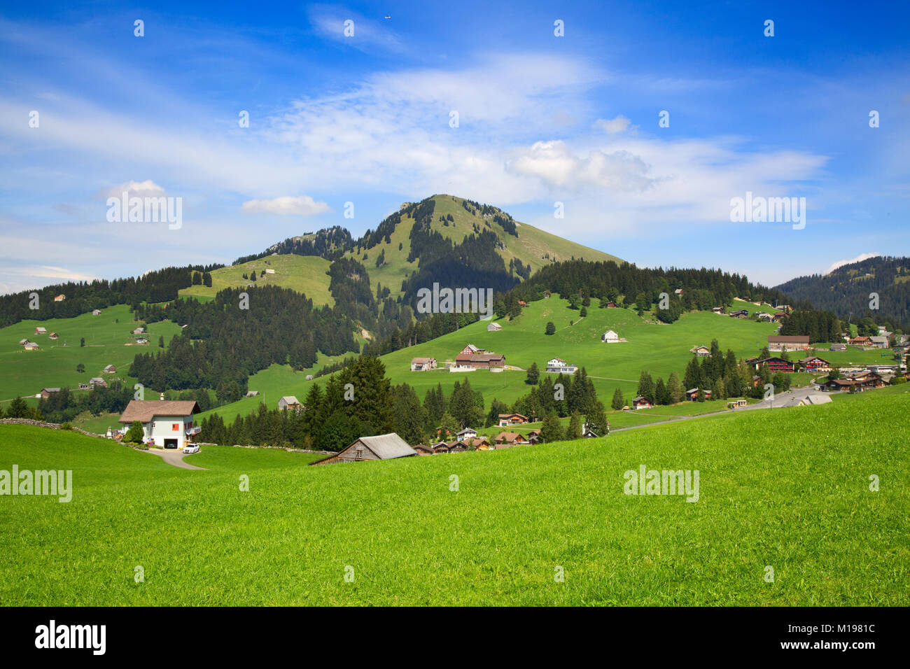 Summer landscape in the Walensee region (Churfirsten mountain range in ...