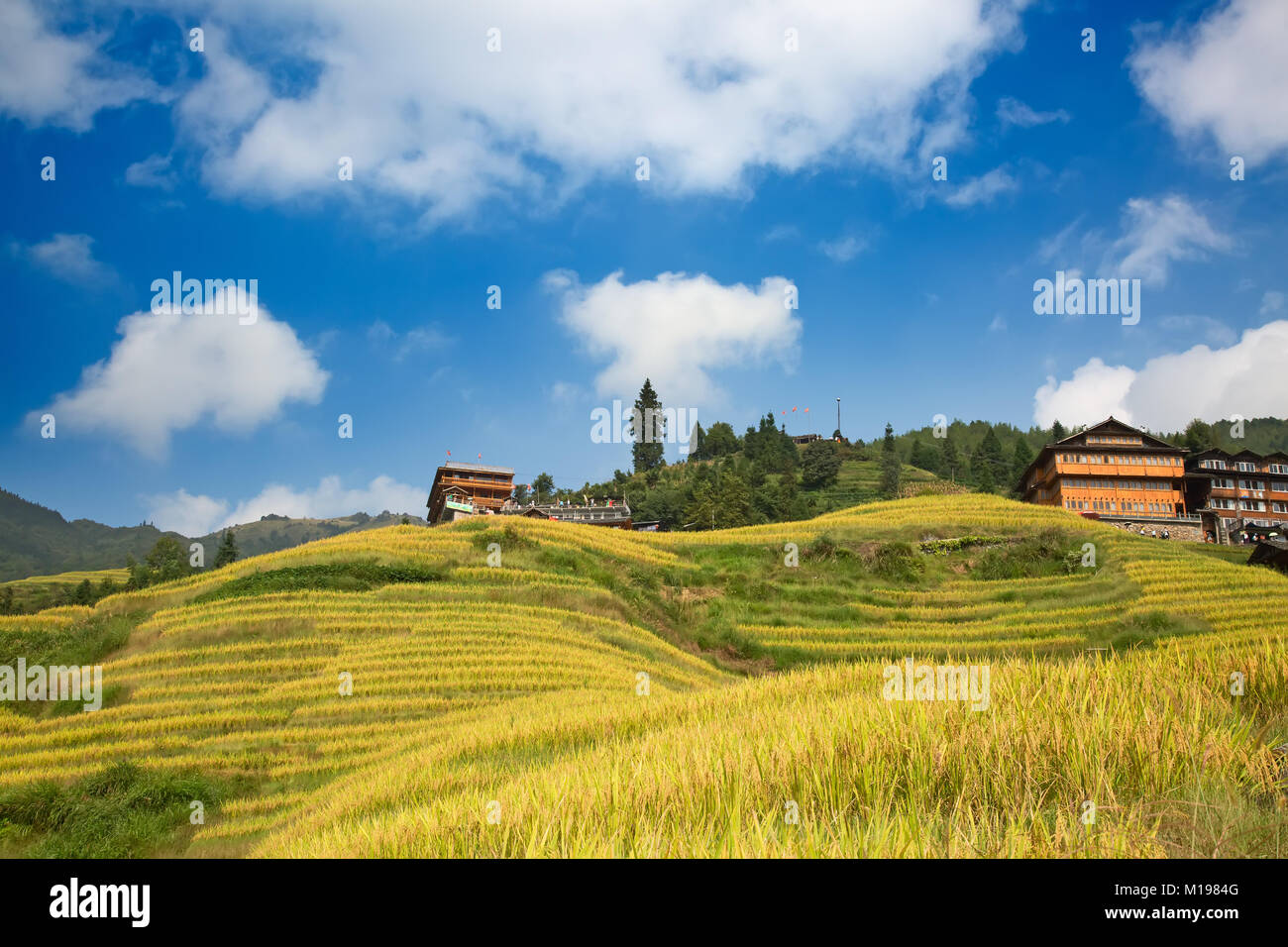 The Longsheng Rice Terraces(Dragon's Backbone) also known as Longji ...