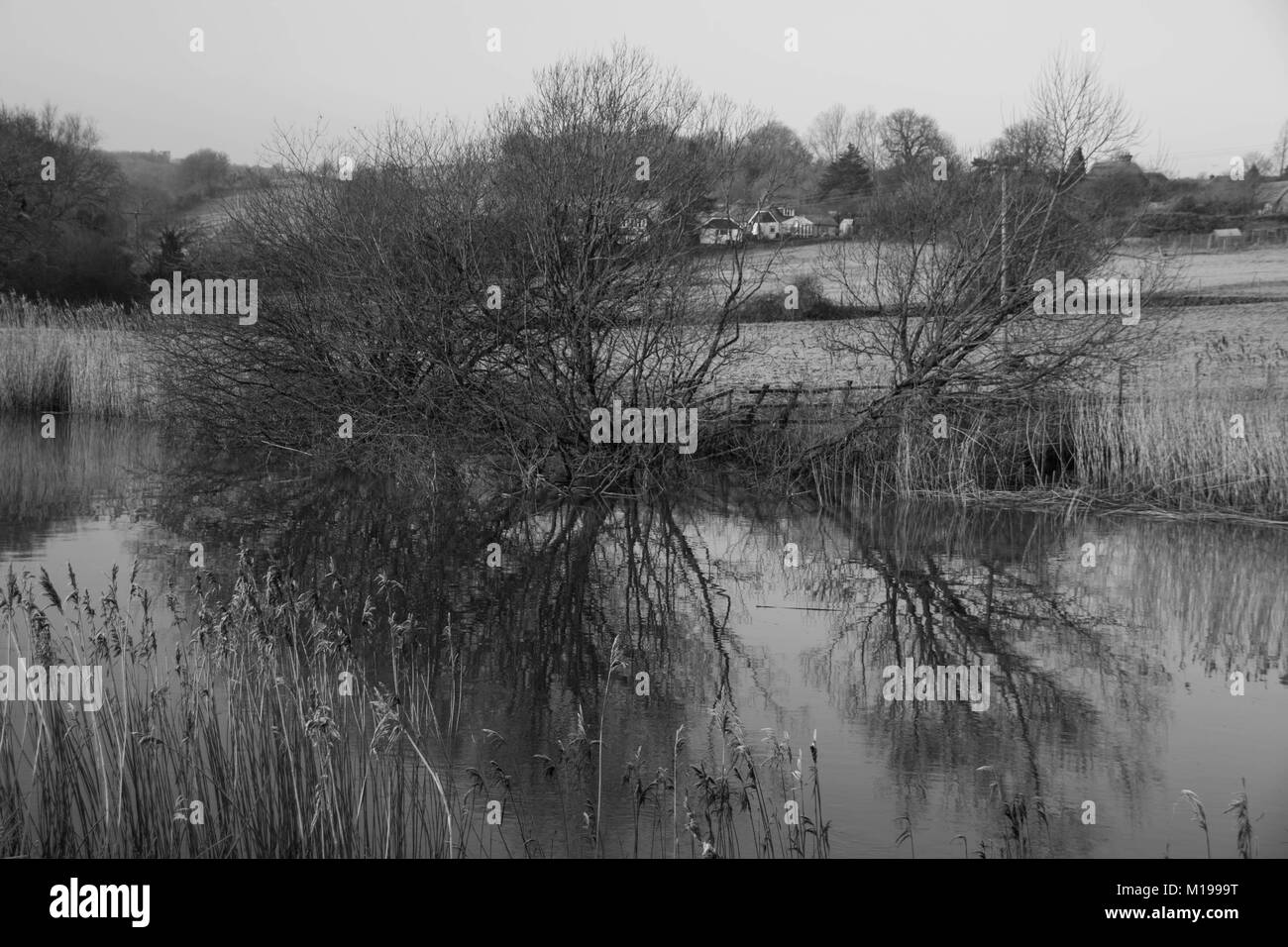 A frosty morning in Amberley West Sussex Stock Photo - Alamy