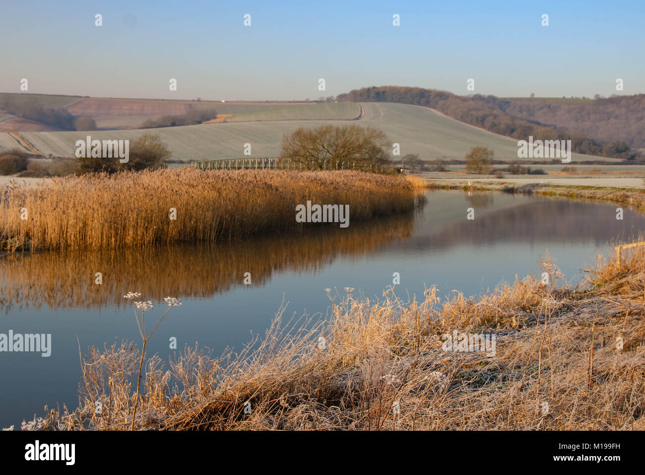A frosty morning in Amberley West Sussex Stock Photo - Alamy