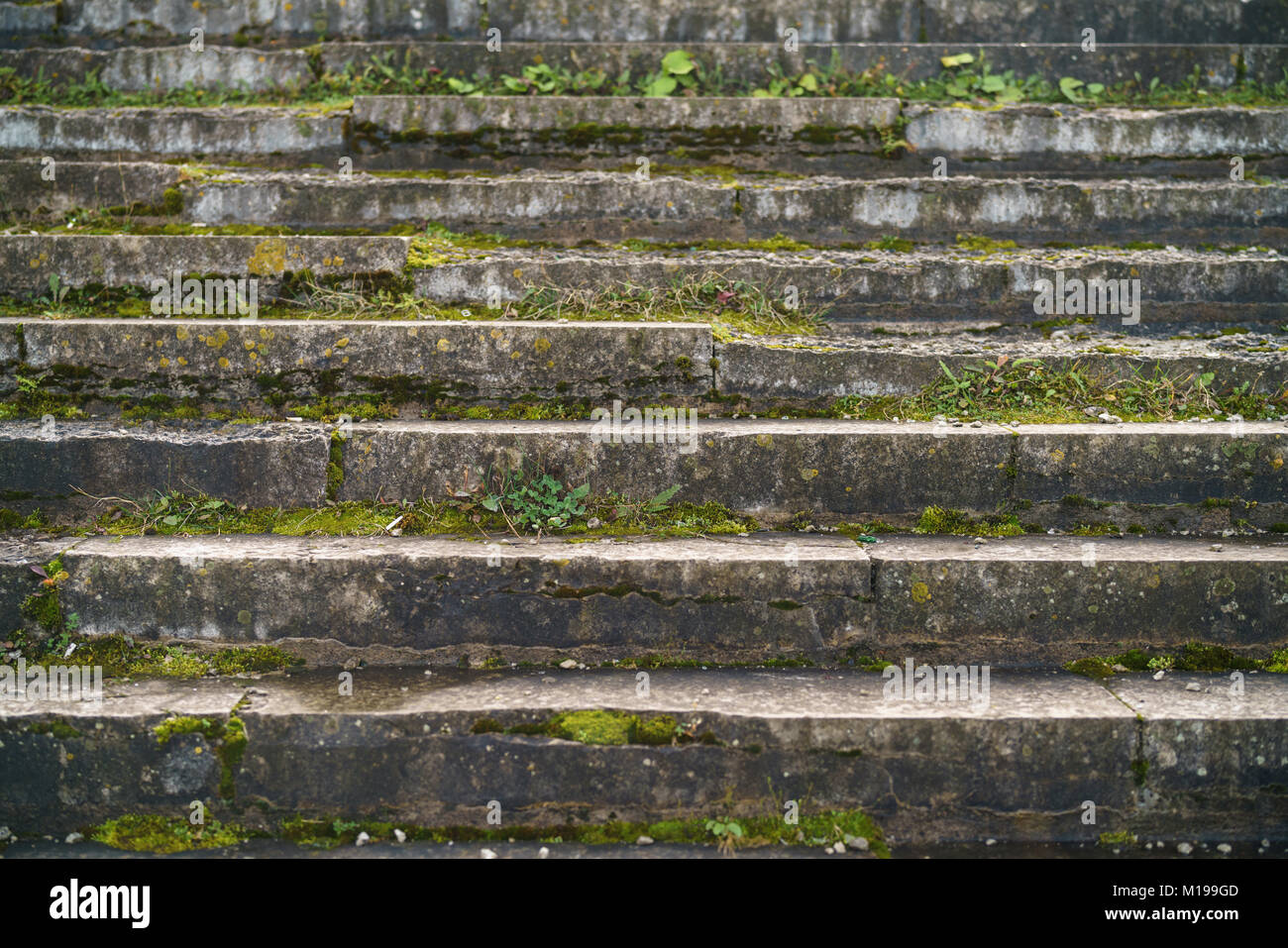 old stone stairs with moss and grass at sunny morning Stock Photo - Alamy