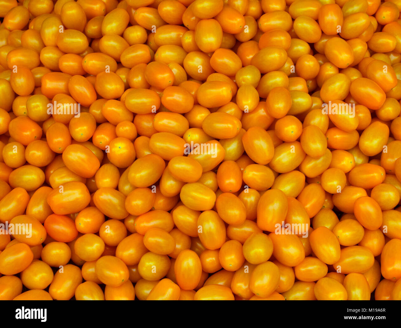 Full frame yellow miniature plum tomatoes Stock Photo - Alamy