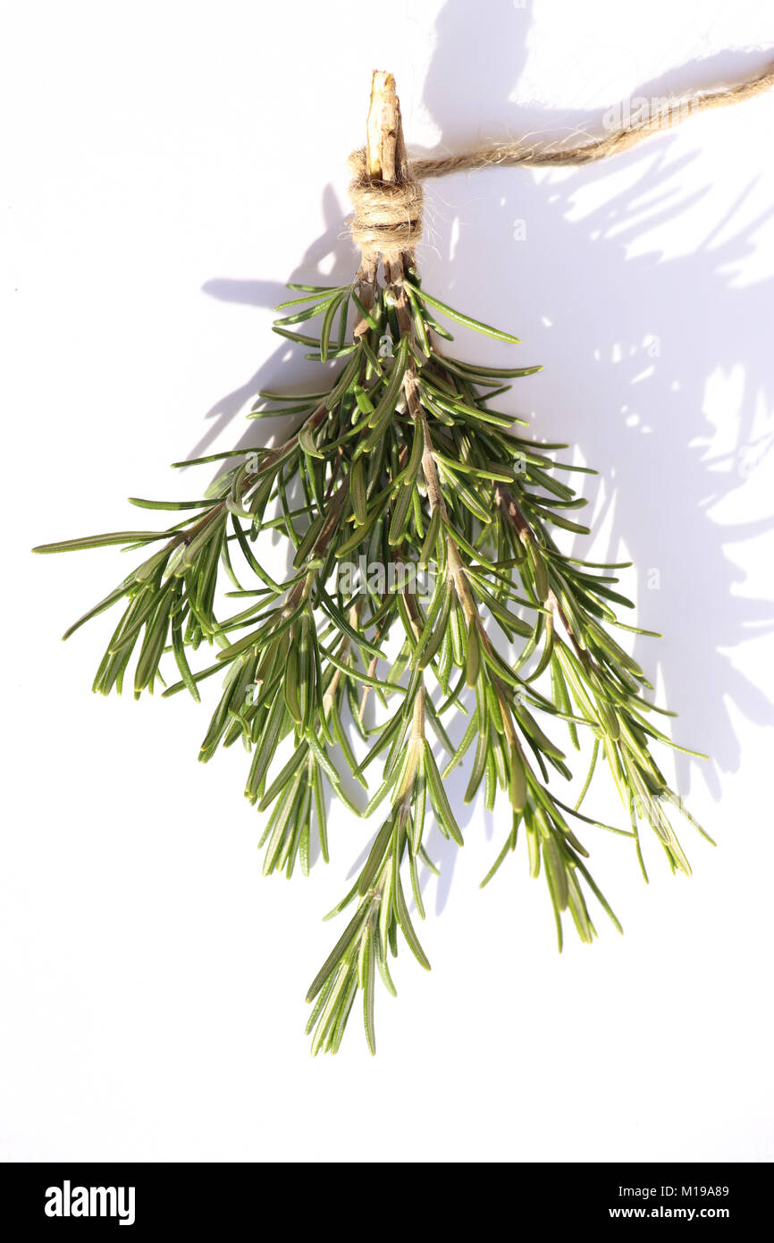 Garden overhead view Cut Out Stock Images & Pictures - Alamy