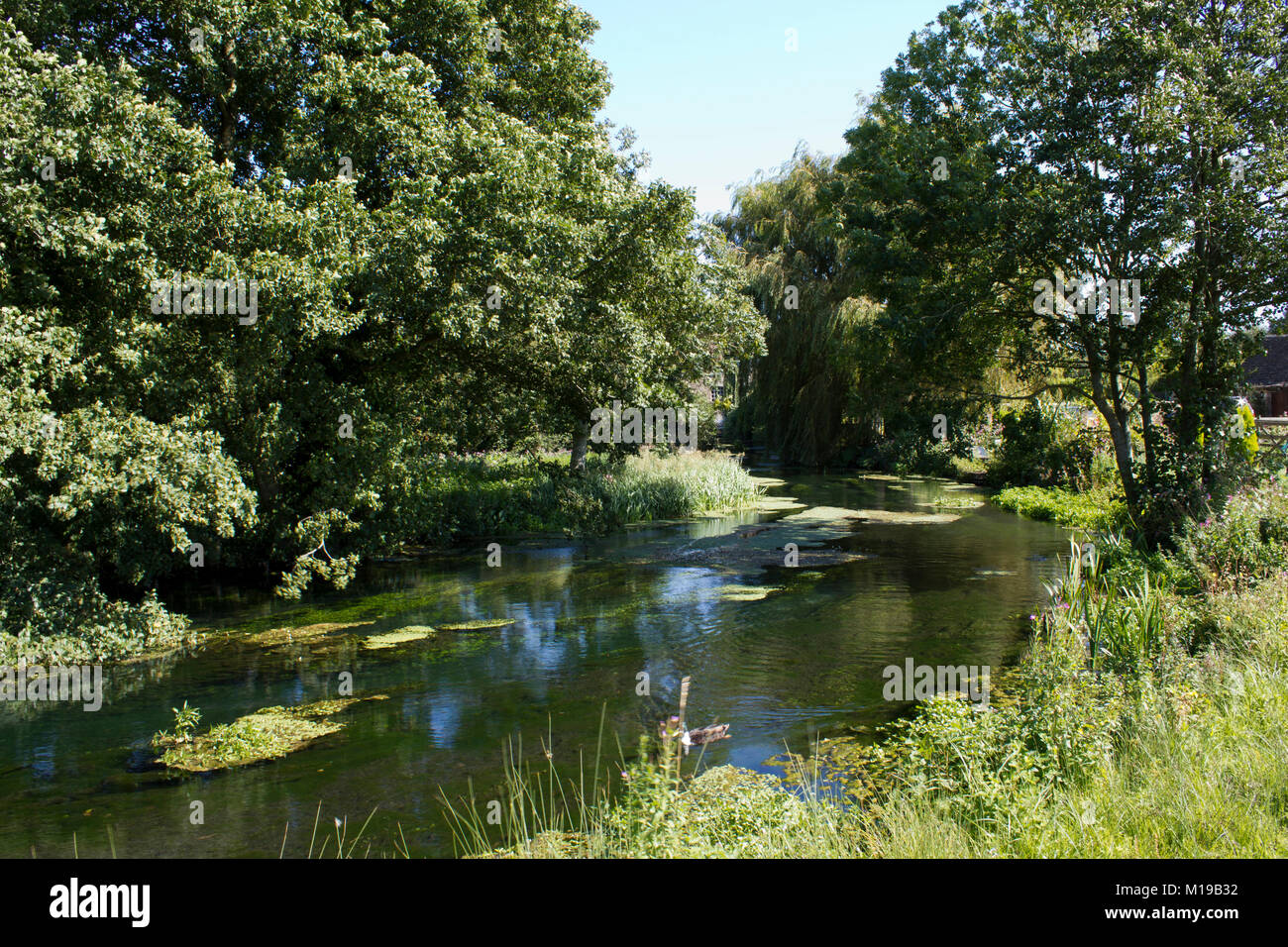 Ampney Brook in summer sunshine, an idyllic stream in The Cotswolds ...