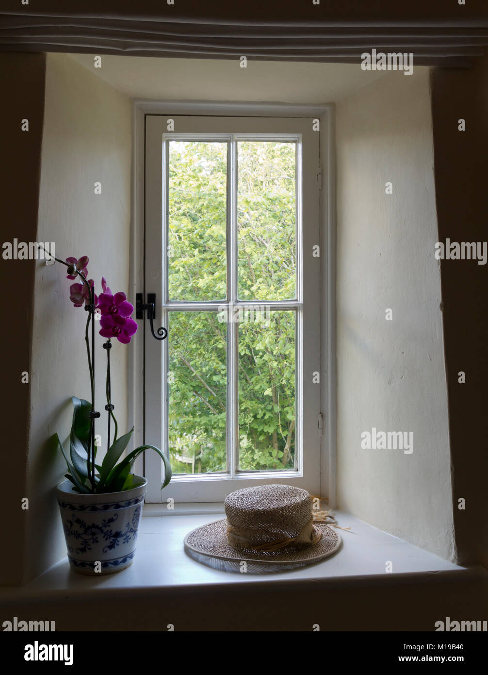 Looking out through an old window to woodland. An orchid and hat are on ...