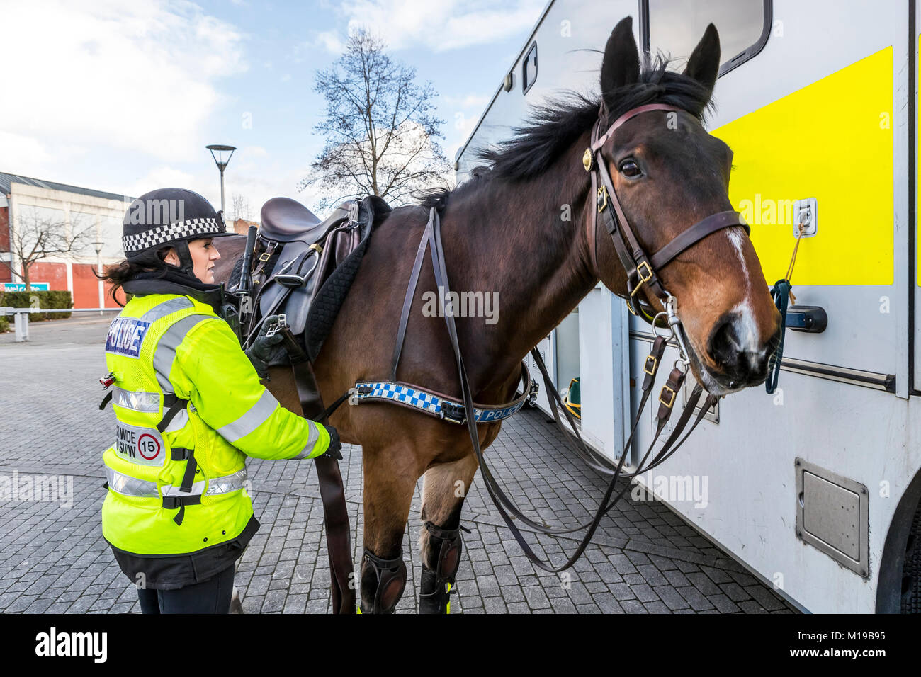 Avon & Somerset Constabulary mounted branch. Police horse patrolling ...