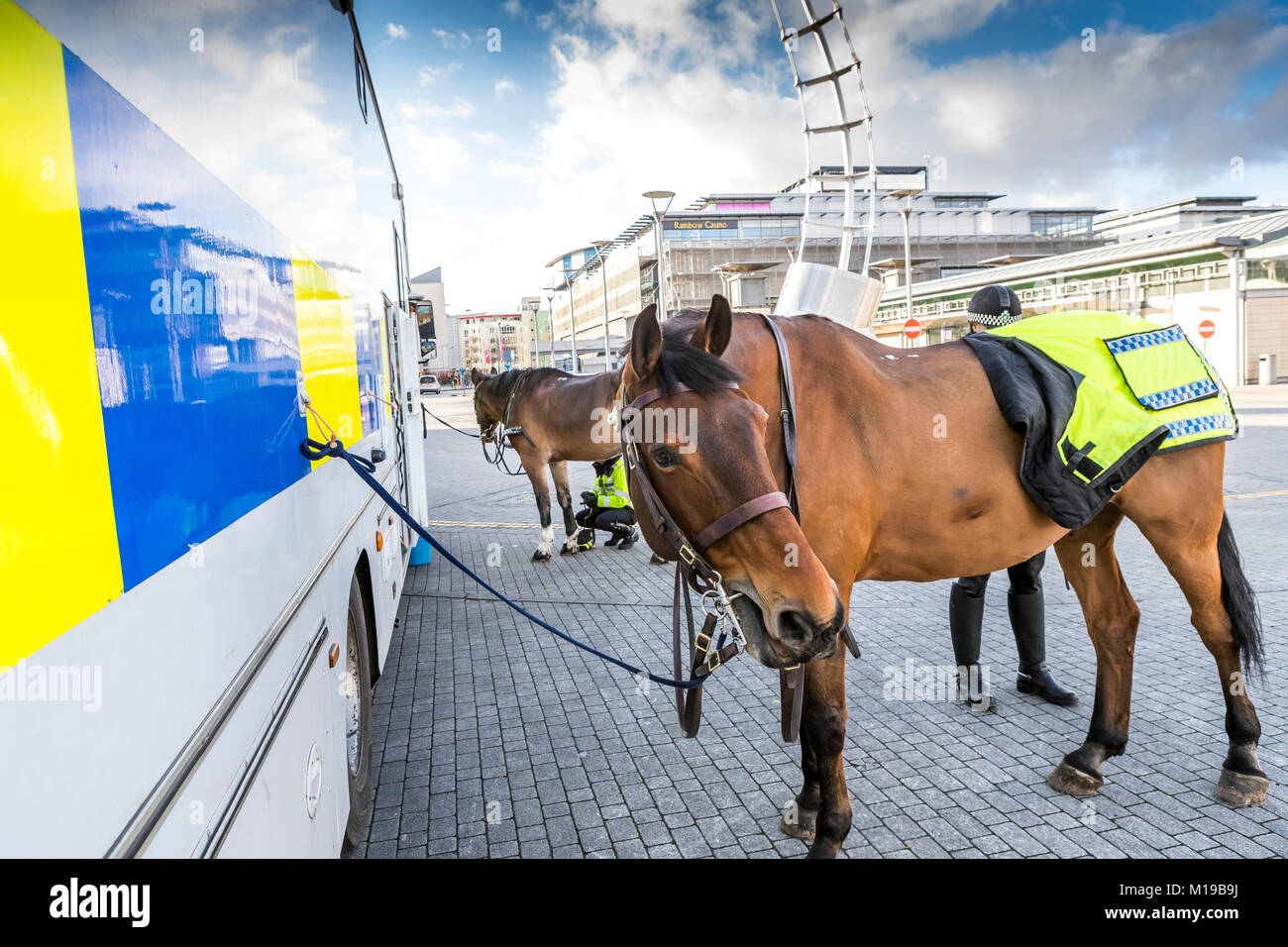 Mounted section avon somerset police hi-res stock photography and ...