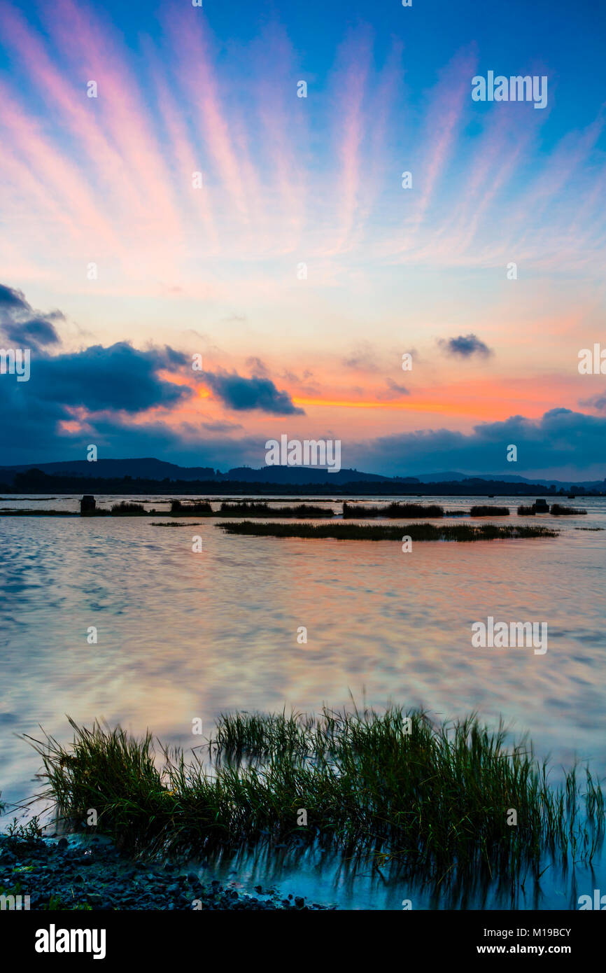 Salt marshes at sunset Stock Photo - Alamy