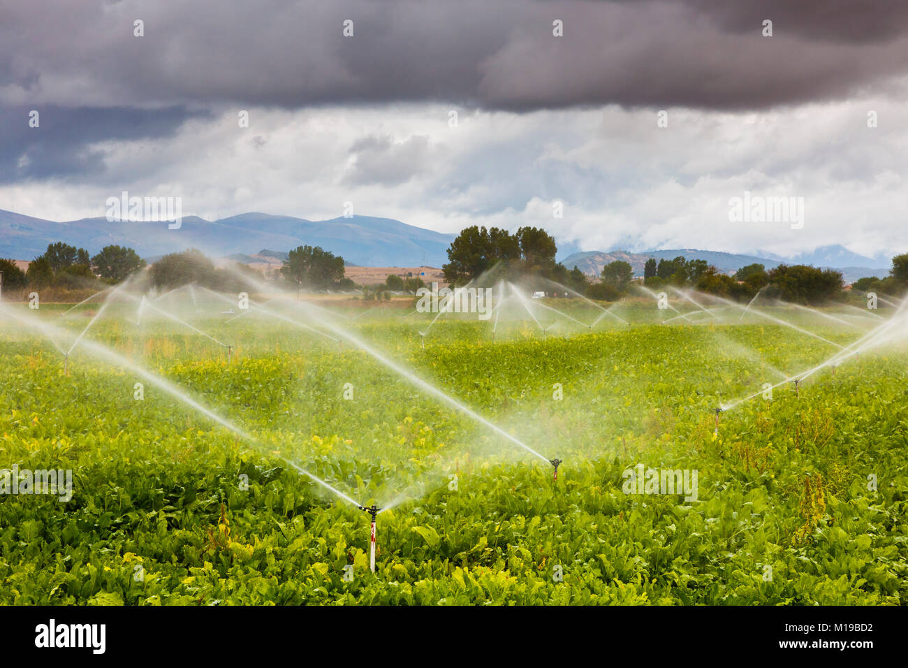 Agricultural farm land hi-res stock photography and images - Alamy