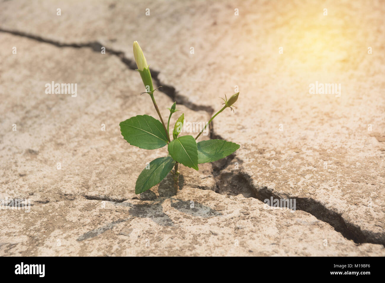 Cement ground hi-res stock photography and images - Alamy
