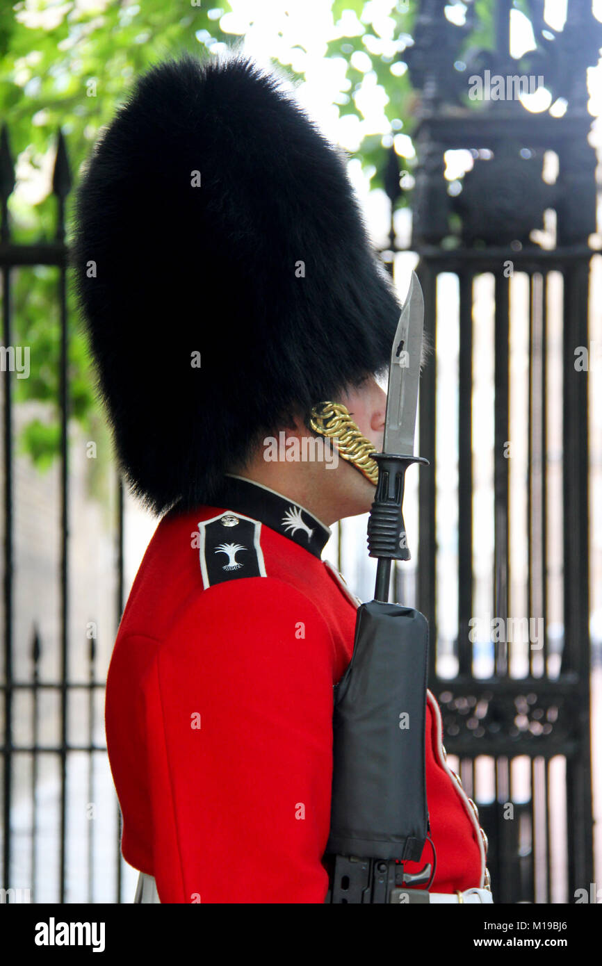 Queen red box buckingham palace hi-res stock photography and images - Alamy