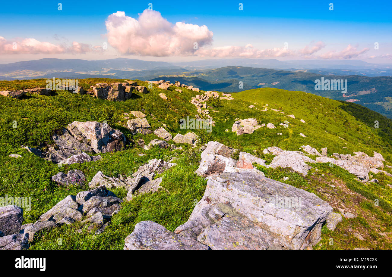 lots of boulders on an alpine meadow. beautiful summer scenery on high ...