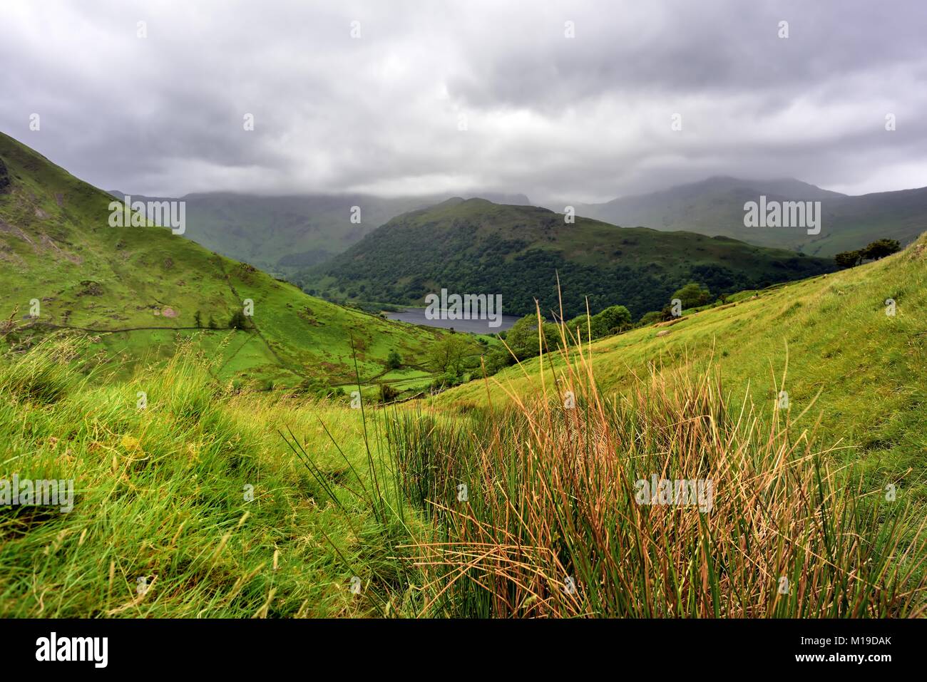 Looking down to Brothers Water whilst climbing Brock Crag Stock Photo ...