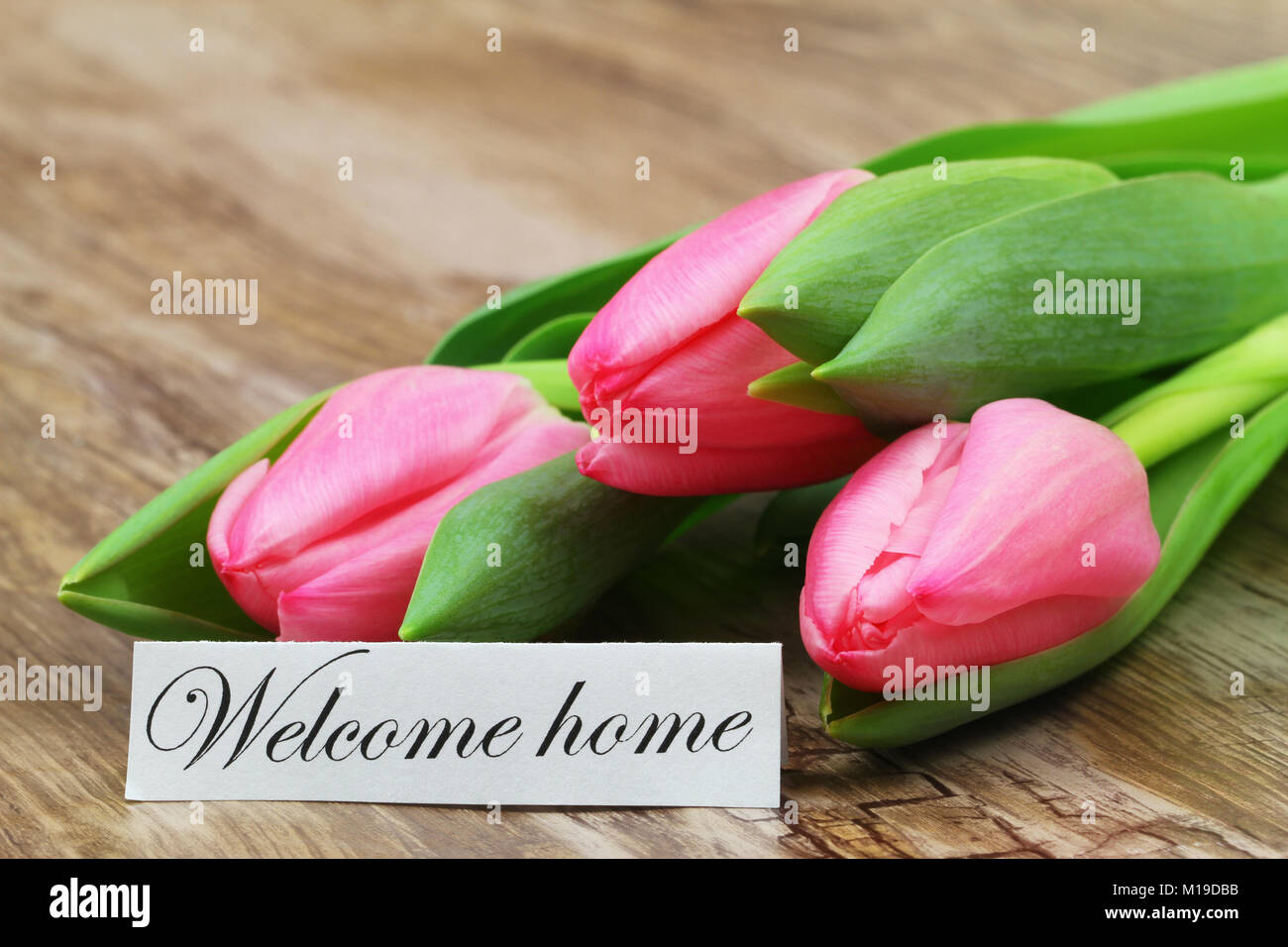Welcome note with tulips hi-res stock photography and images - Alamy