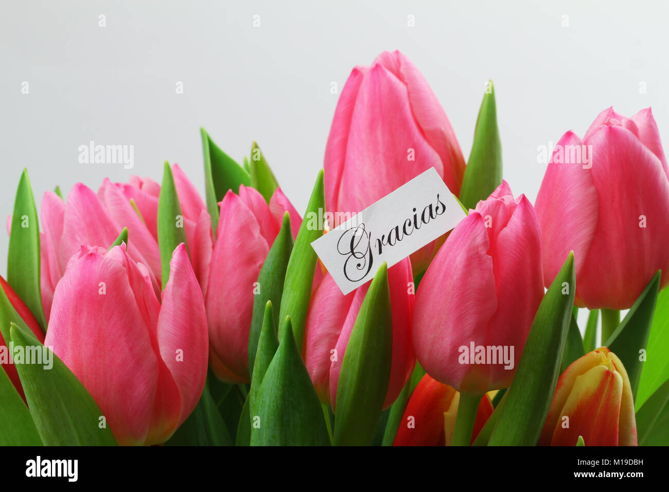 Gracias thank you card hi-res stock photography and images - Alamy