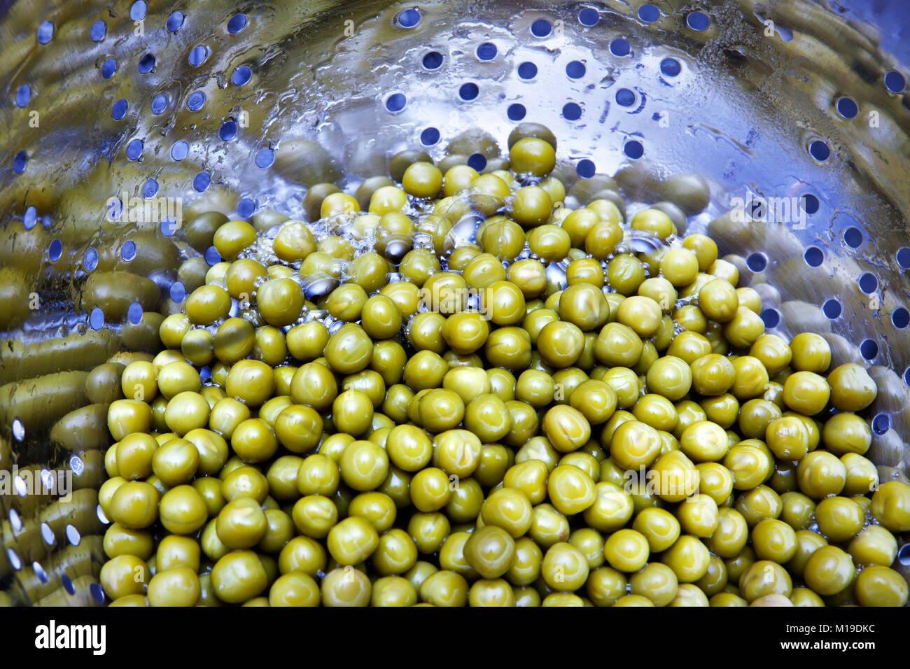 tinned green peas in the course of washing for preparation of dish ...