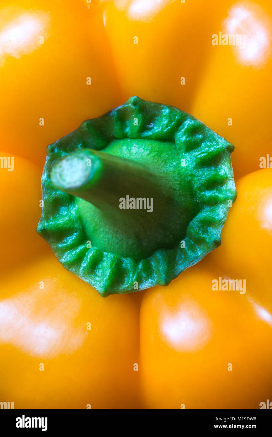 Bell pepper top view hi-res stock photography and images - Alamy