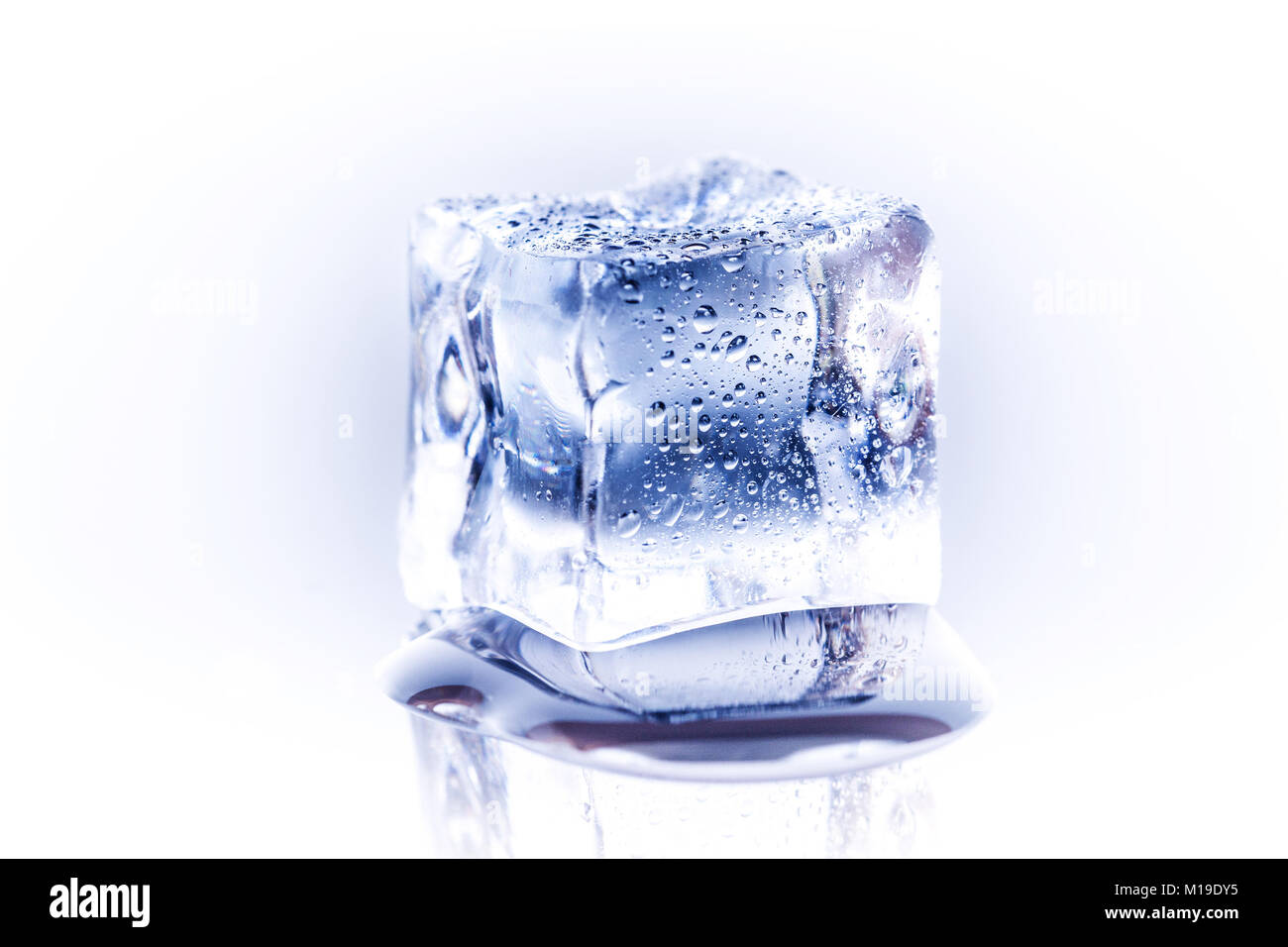 Single ice cube on white reflection background Stock Photo - Alamy