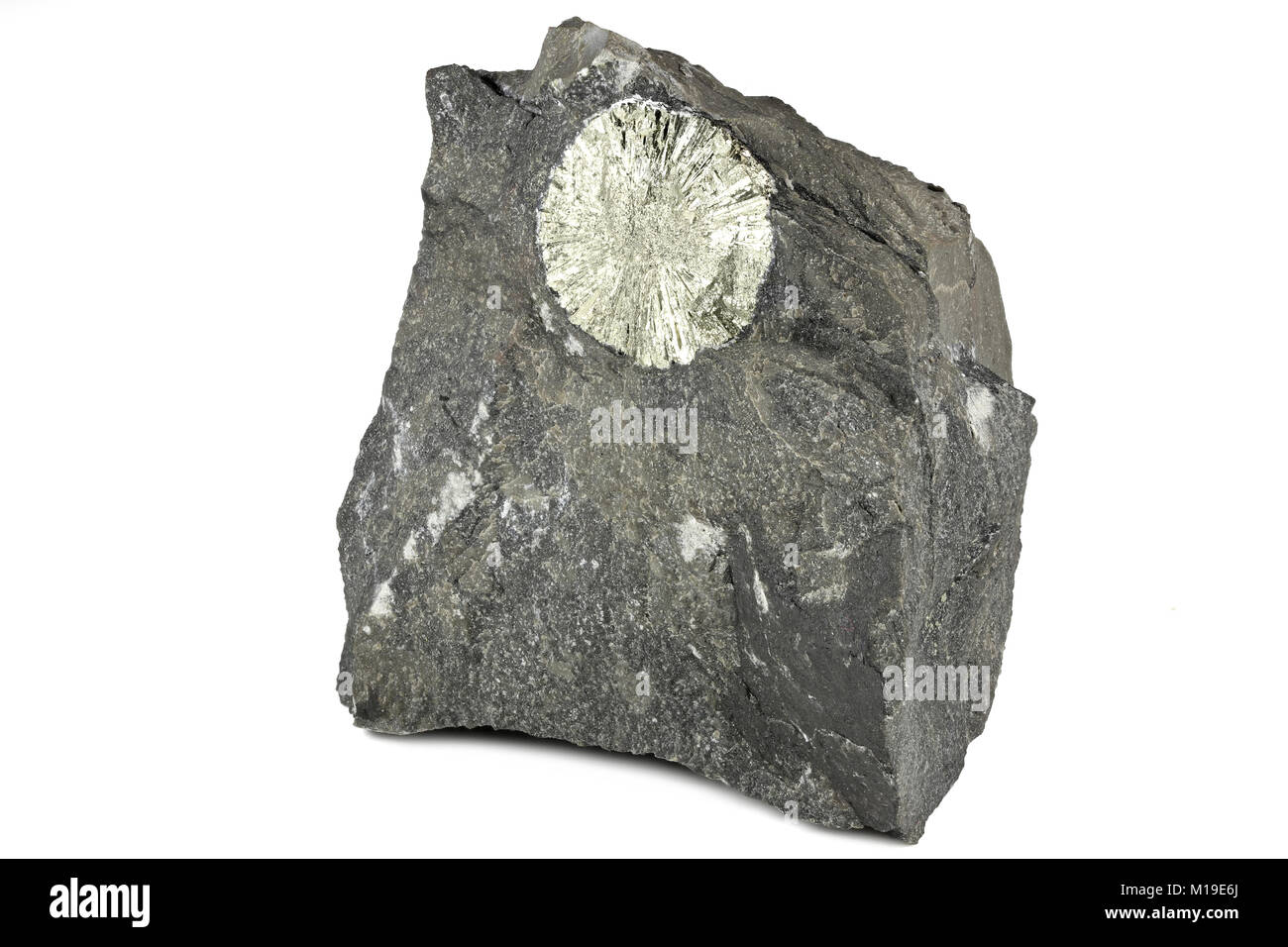 pyrite sun in matrix from Hohenems/ Austria isolated on white ...