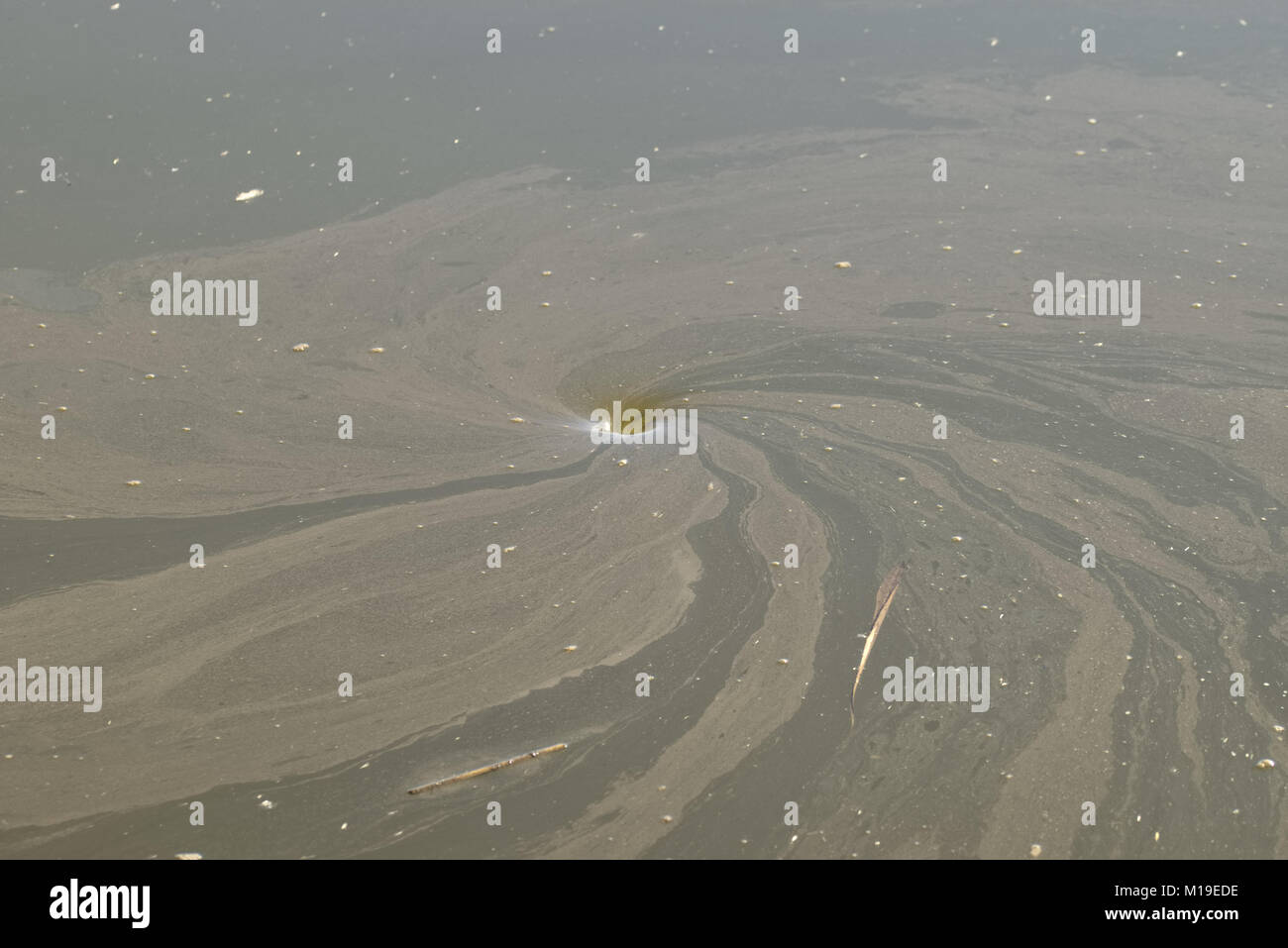 Richard w De Korte Park, NJ Stock Photo - Alamy