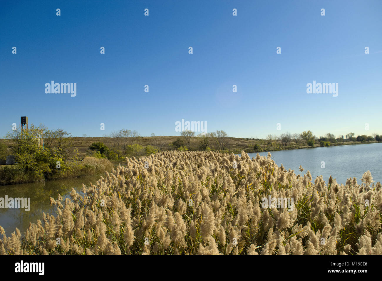 Richard w hi-res stock photography and images - Alamy