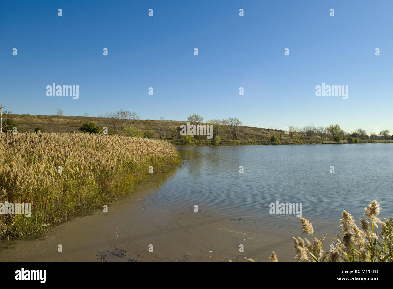Laguna de juncos hi-res stock photography and images - Alamy