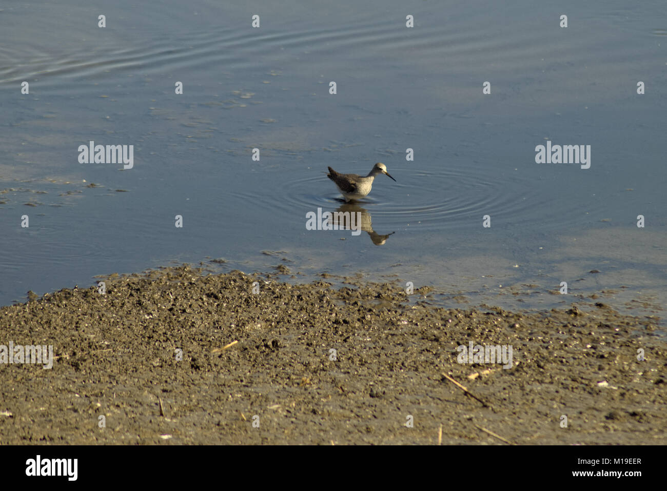 Richard ave hi-res stock photography and images - Alamy