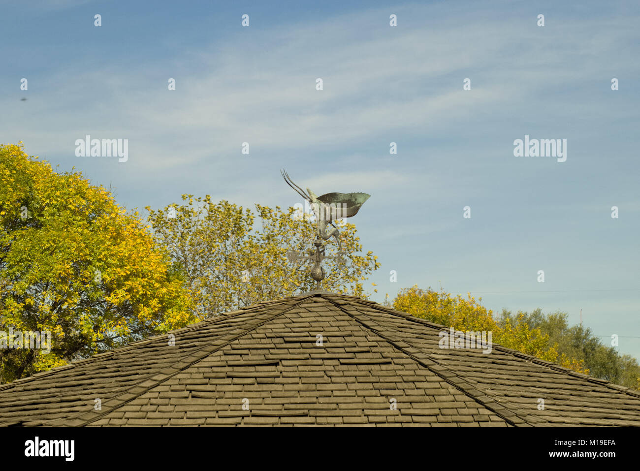 Indicador de viento hi-res stock photography and images - Alamy