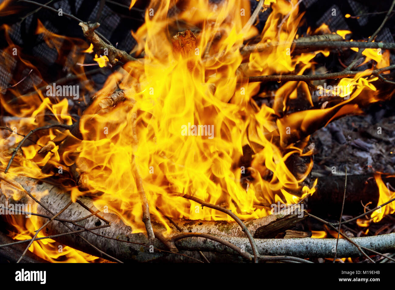 burning of thin dry grass during incendiary fire, close-up fire dry ...