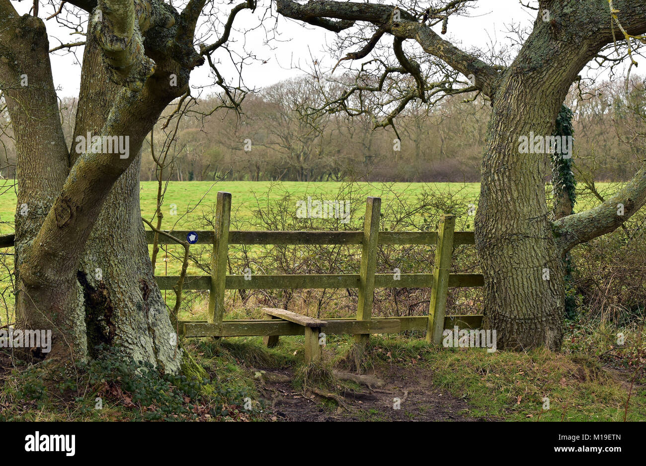 an old wooden fence in the countryside with a traditional style to ...