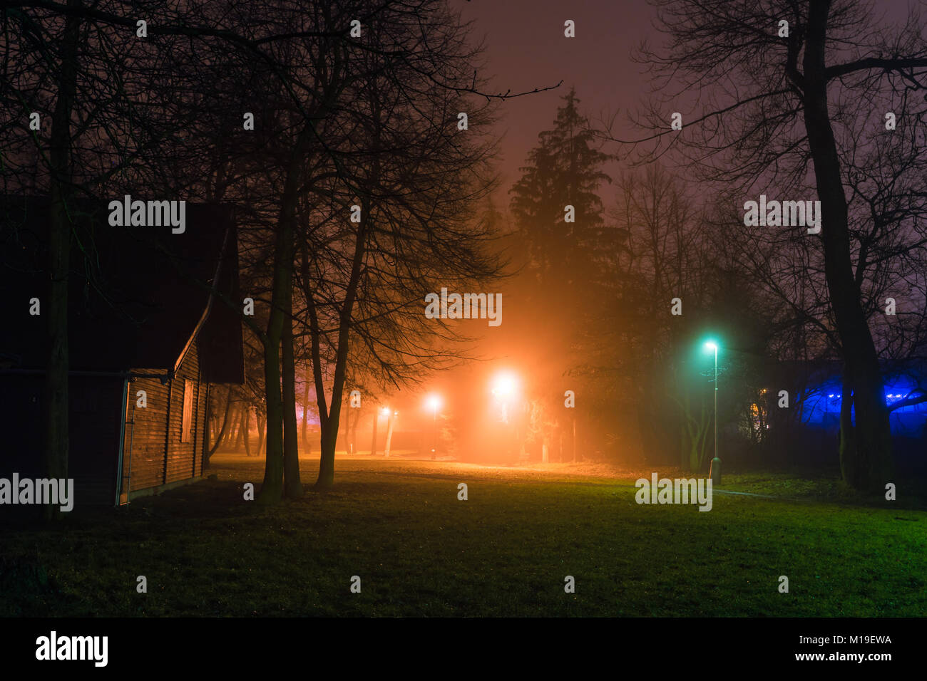 Night view of dark street in park of small city. Lights from street ...